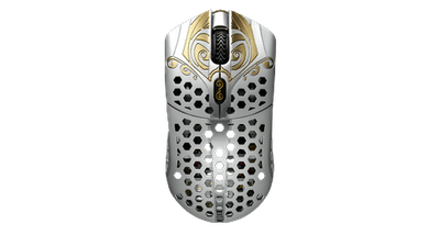 Gamers that use Finalmouse Starlight-12 (2025)